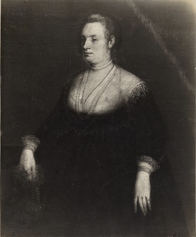 FONDAZIONE ZERI | CATALOGHI ONLINE : Anonimo veneziano sec. XVI, Ritratto femminile