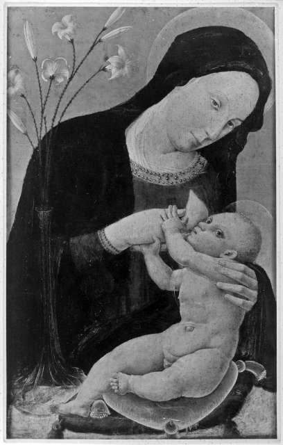 FONDAZIONE ZERI | CATALOGHI ONLINE : Liberale da Verona, Madonna con Bambino